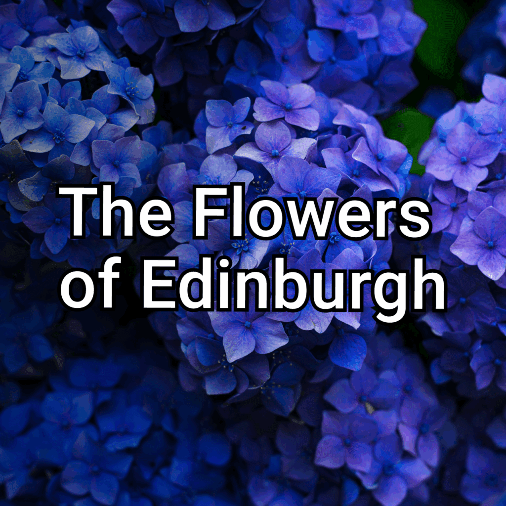 The Flowers of Edinburgh - tviolin.com